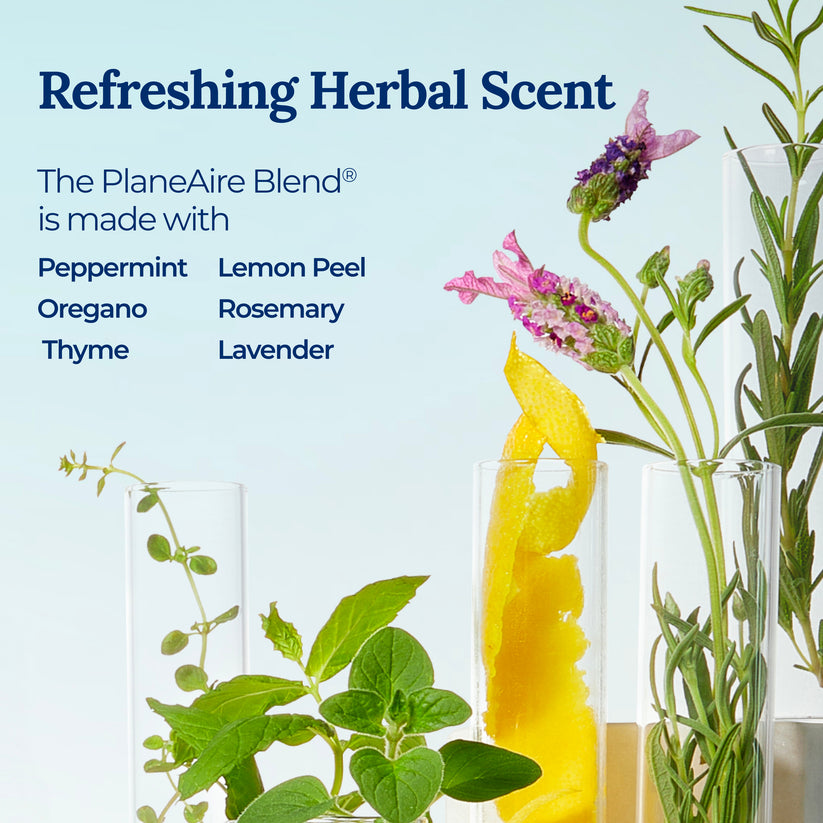 Clean Duo – PlaneAire